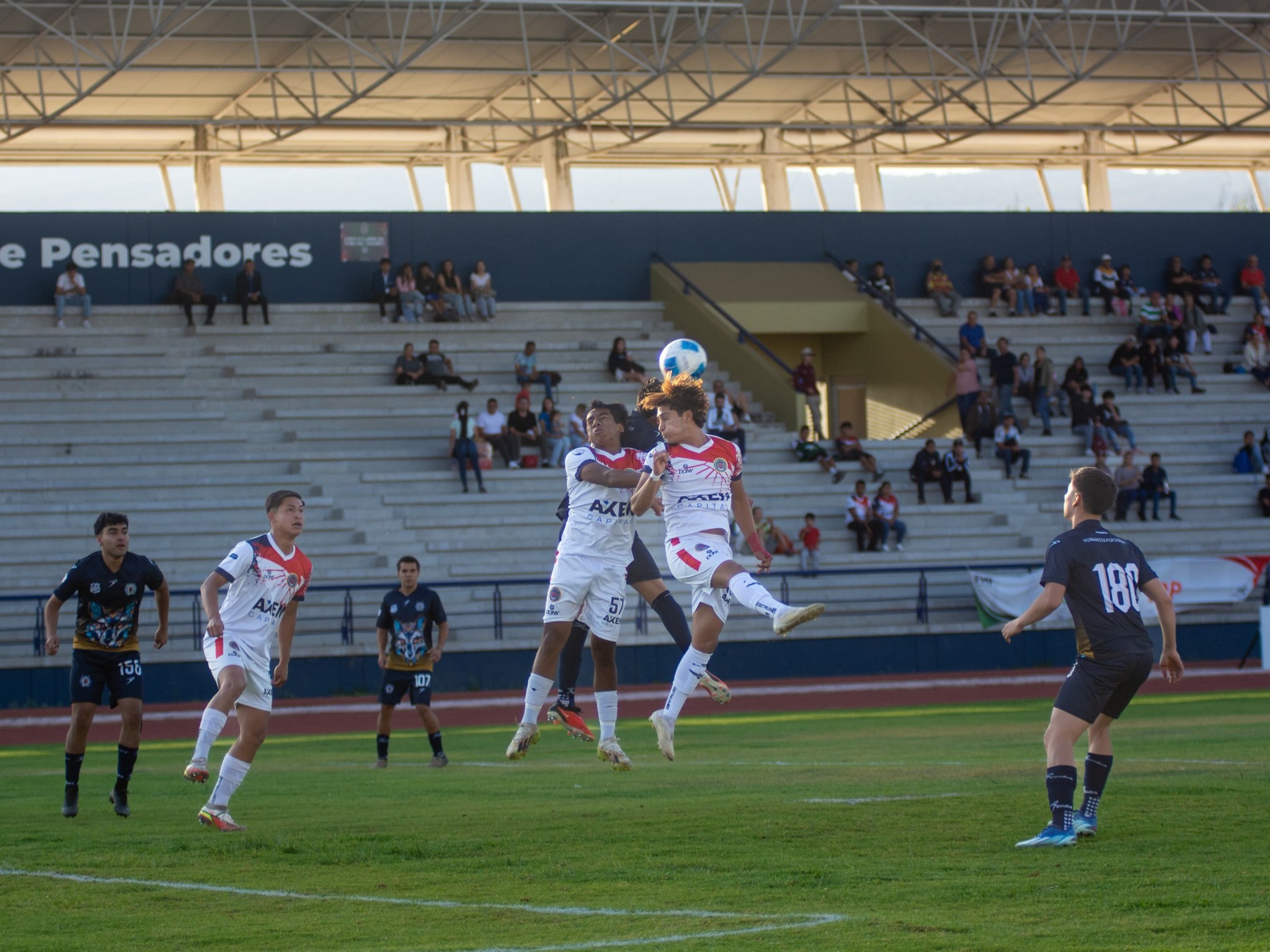 Halcones sorprende a Zorros y se lleva dos puntos vitales | AF Deportes